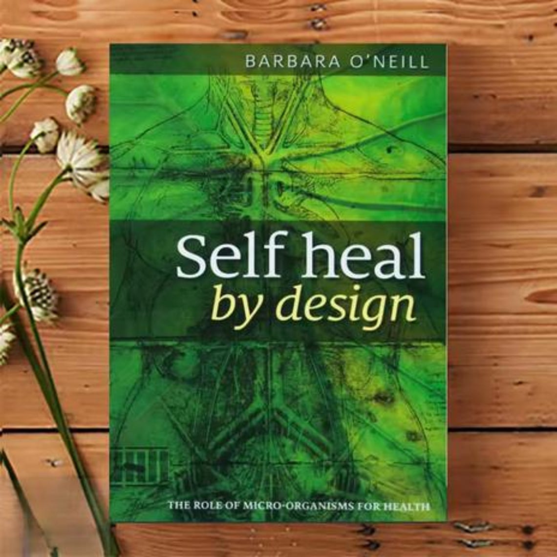 Self Heal by Design by Barbara O'Neill Instant Digital Download ...